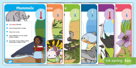 Welsh Animals Display Posters (Teacher-made at Twinkl)