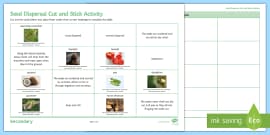Seed Dispersal Sorting Activity (teacher made)