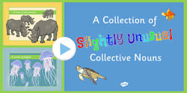 Collective Nouns PowerPoint | Teaching Resource Twinkl