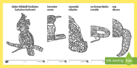Australian Animal Dot to Dot | Fine Motor Skills - Twinkl