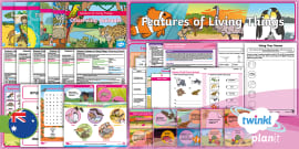 Living Things Word Wall (teacher made) - Twinkl