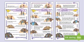 FREE! - Aladdin Page Borders (teacher made) - Twinkl