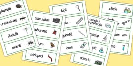 Minibeasts Investigation Lab Role Play Role Play Signs
