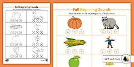 Summer Beginning Sounds Activity | ELA | Twinkl USA - Twinkl