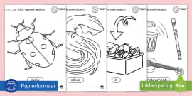 Graad R Inkleurprente R-Klank (Teacher-Made) - Twinkl