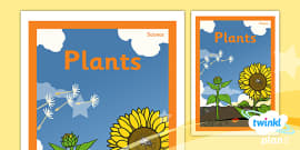 Science Knowledge Organiser: Plants Year 3 (teacher made)