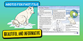 Arctic Fox Fact File - KS1 - Polar Regions - Animals