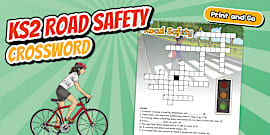Road Safety Scenario Activity