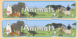 Animal Groups Display Posters - Animal, Display, Display Poster