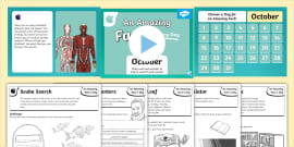 Science Facts (teacher made) - Twinkl