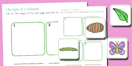 FREE! - Story Sack Resource Pack to Support Teaching on The Very Hungry