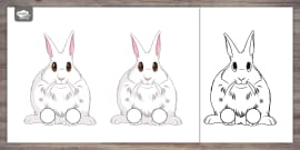 Printable Rabbit Ears | Twinkl Party (teacher made) - Twinkl