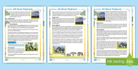 Fish Differentiated Reading Comprehension Activity