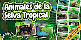 GRATIS Ficha de actividad: Wikki Stix Los animales de la selva tropical