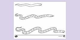 FREE! - Printable Colouring Page Of Snakes | Colouring Sheets