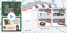 👉 KS1 Winter Robin Maths Activity | Winter Activities