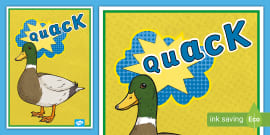 Facts about Rockets Display Poster (teacher made) - Twinkl