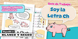 Guía de Trabajo | Lenguaje| Familia Silábica | Letra C | 1° básico | Sonido
