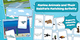 Animals and Their Habitats Interactive Matching Activity
