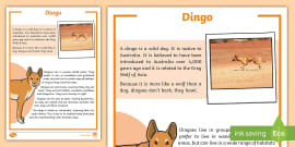 FREE! - Dingo Craft Paper Plate Craft Activity | Craft Activities