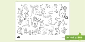 Monkeys Colouring | Colouring Sheets (teacher made) - Twinkl