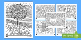 South Carolina Facts for Kids | Twinkl USA - Twinkl