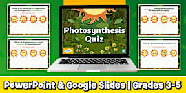 Visual Thinking: Photosynthesis Zoom In PowerPoint