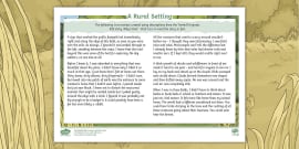 Rainforest Setting Description Example Text (teacher made)