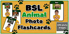 BSL Minibeasts Flashcards | Twinkl SEND Resources