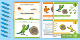 EYFS Maths Estimation and Counting Chilli Challenges: Pom-Pom Jars