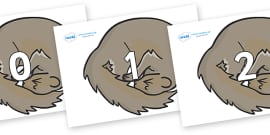 Numbers 0-31 on Red Squirrels (teacher made) - Twinkl