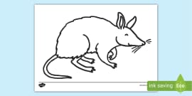 FREE! - Lexi Name Simple Colouring Activity Sheet - Twinkl