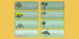 Nature Table Name Tags (teacher made)