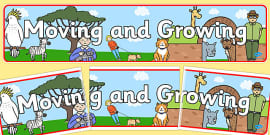 Growing Up Photo Display Banner (teacher made) - Twinkl