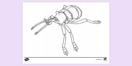 FREE! - Rainforest Weevil Page Border | Page Borders | Twinkl