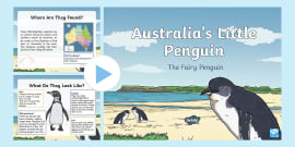 Penguins PowerPoint and Quiz | Science & Reading Resource