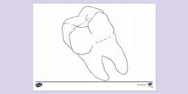 FREE! - Tooth Printable Colouring Page | Colouring Sheets