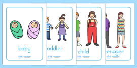 Human Growth Display Posters - Growth Topic, Grow, Ourselves