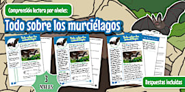 Comprensión lectora por niveles: Los tsunamis
