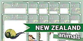 New Zealand Native Animals - Examples, Facts & Resources