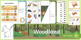 Draw the Woodland Animals, woodland animals art - Twinkl