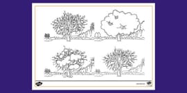 FREE! - Menstrual Cycle Diagram Graph Colouring | Colouring Sheets