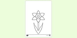 Daffodil Colouring Sheet - Teaching Resource (teacher made)