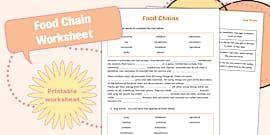 Food Chain Challenge Worksheet
