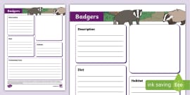 Camel Fact File Template (teacher made) - Twinkl