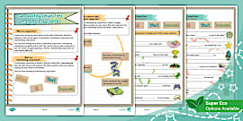 subordinating conjunctions fan