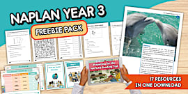 Year 9 NAPLAN Pack