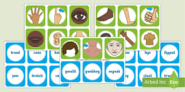 Body Parts Welsh Labels Activity | Twinkl Resources Wales