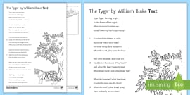 'The Tyger' Poetry Reading Comprehension Activity - English
