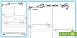 Ants Fact File Template,ant,ants (teacher made) - Twinkl